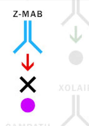 Biotin-Z-MAB® – AB Biosciences